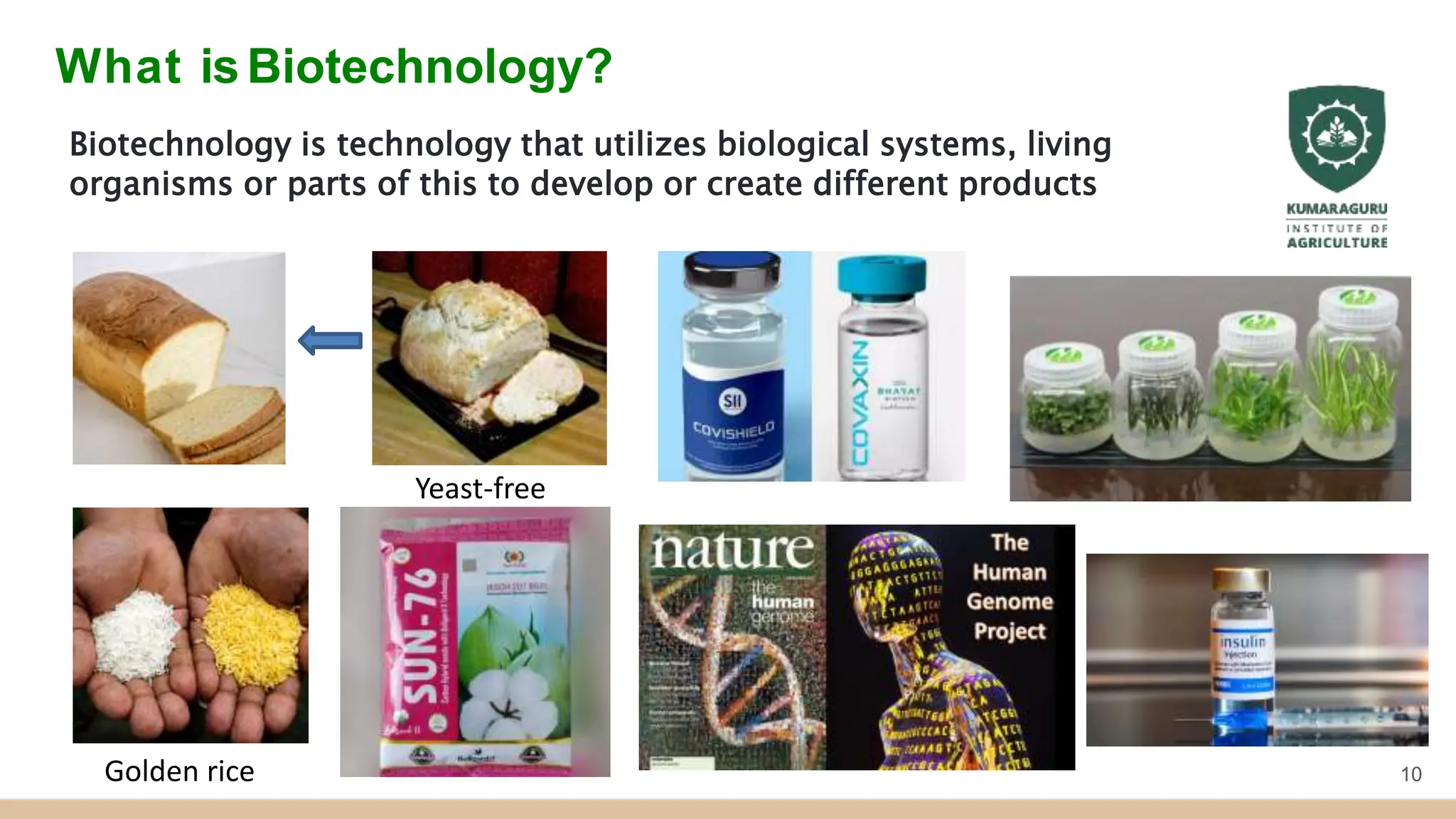Lec 1 Introduction to Biotechnology-new.pptx