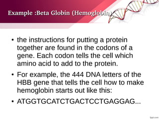 Introduction to Bioinformatics | PPT