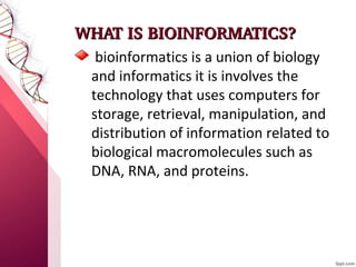 Introduction to Bioinformatics | PPT