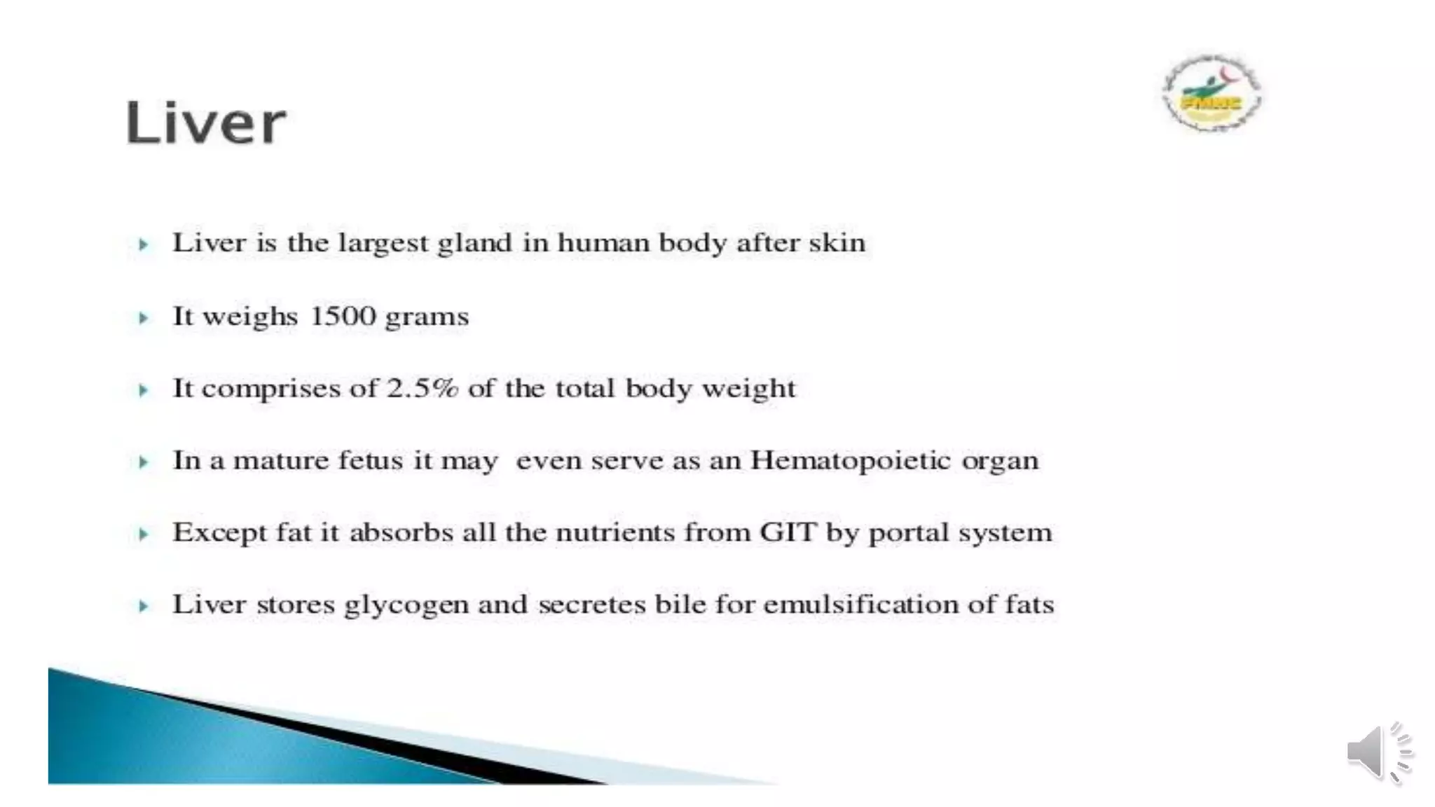 Liver Gross Anatomy.pptx