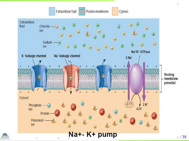 Lec_1_MD&R_F2021.pdf