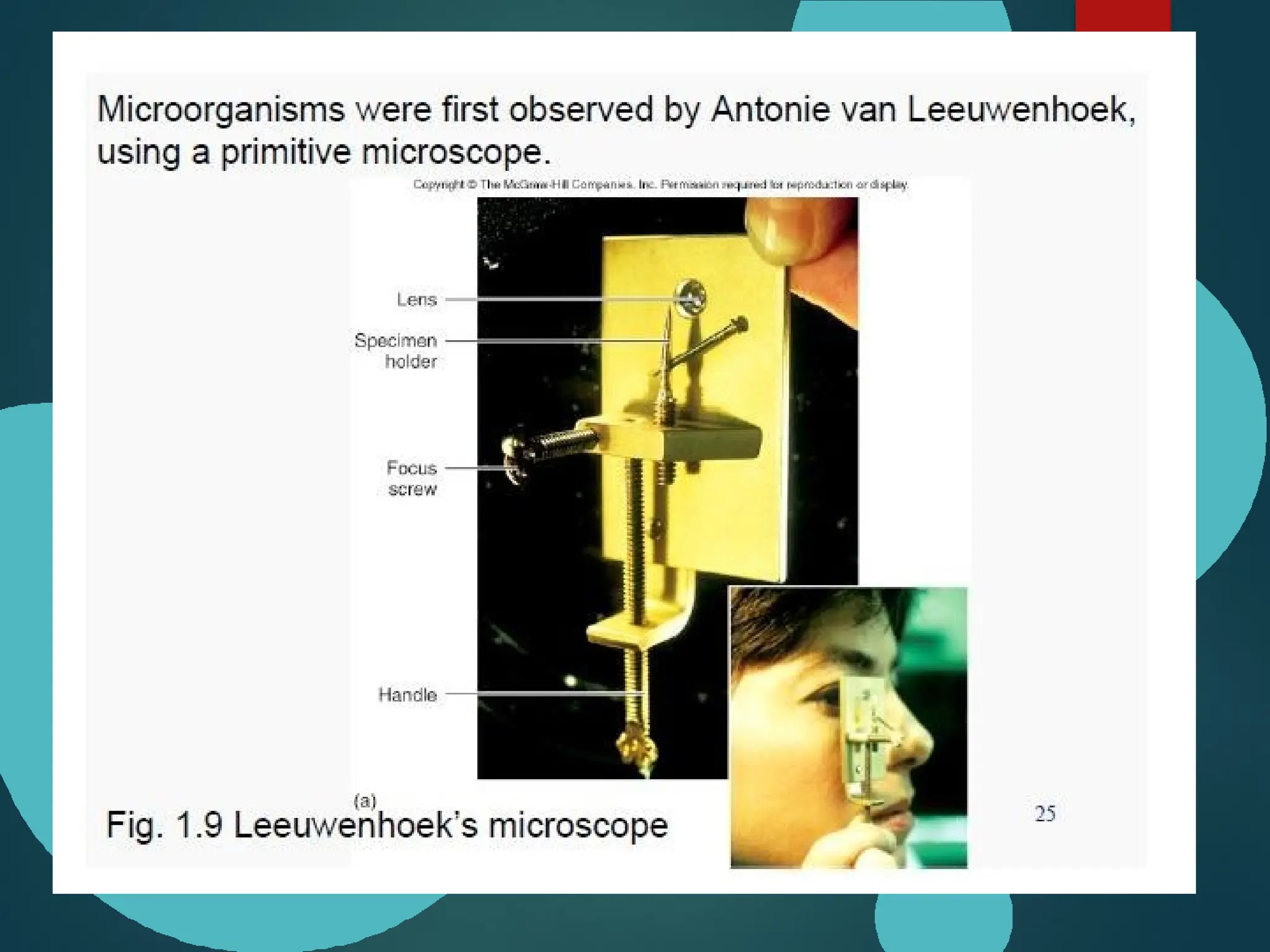 Lec 1 Micro.pptx microbiology microbiology | PPT