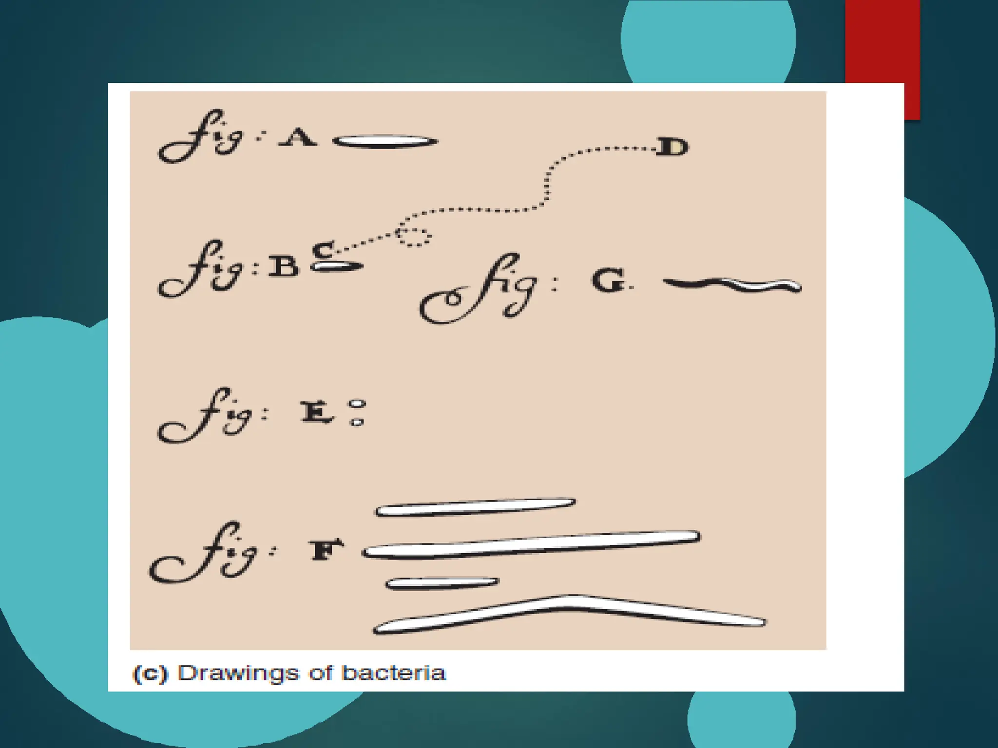 Lec 1 Micro.pptx microbiology microbiology | PPT