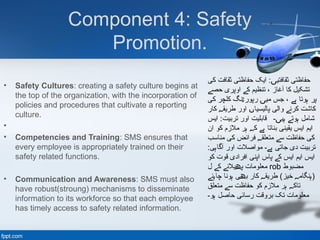 Safety Management System (SMS) International Civil Aviation | PPTX