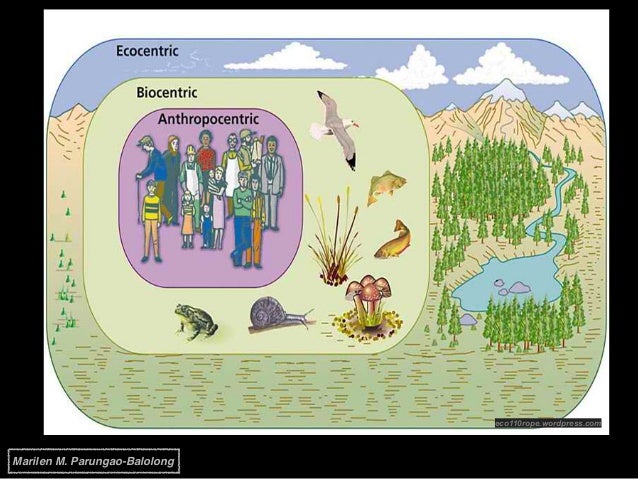 NS5 Lecture 1: Environmental Ethics