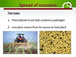 lec 1 plant pathology.pptx
