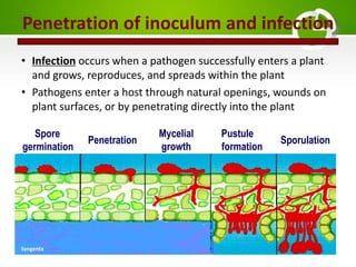 lec 1 plant pathology.pptx