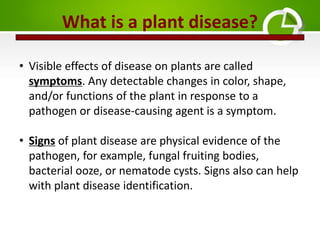 lec 1 plant pathology.pptx