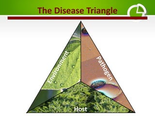 lec 1 plant pathology.pptx
