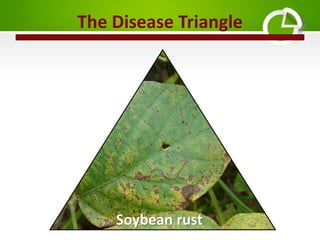 lec 1 plant pathology.pptx
