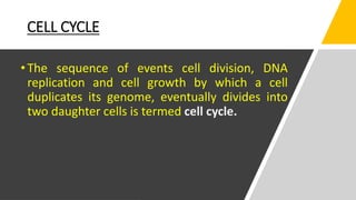 Lec1 cell cycle and mitosis | PPT