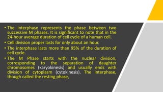 Lec1 cell cycle and mitosis | PPT