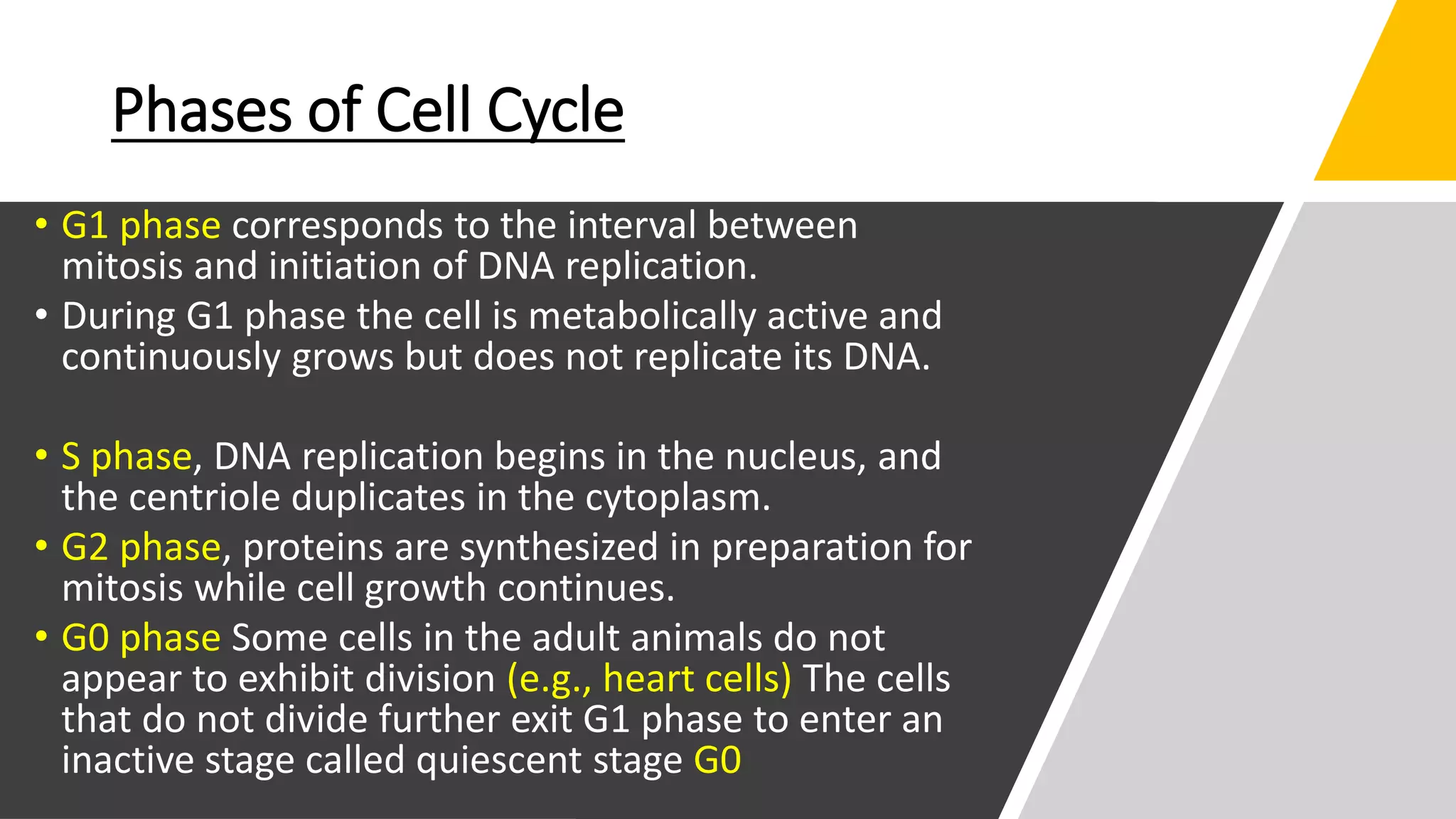 cell cycle and mitosis | PPTX