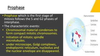 cell cycle and mitosis | PPTX
