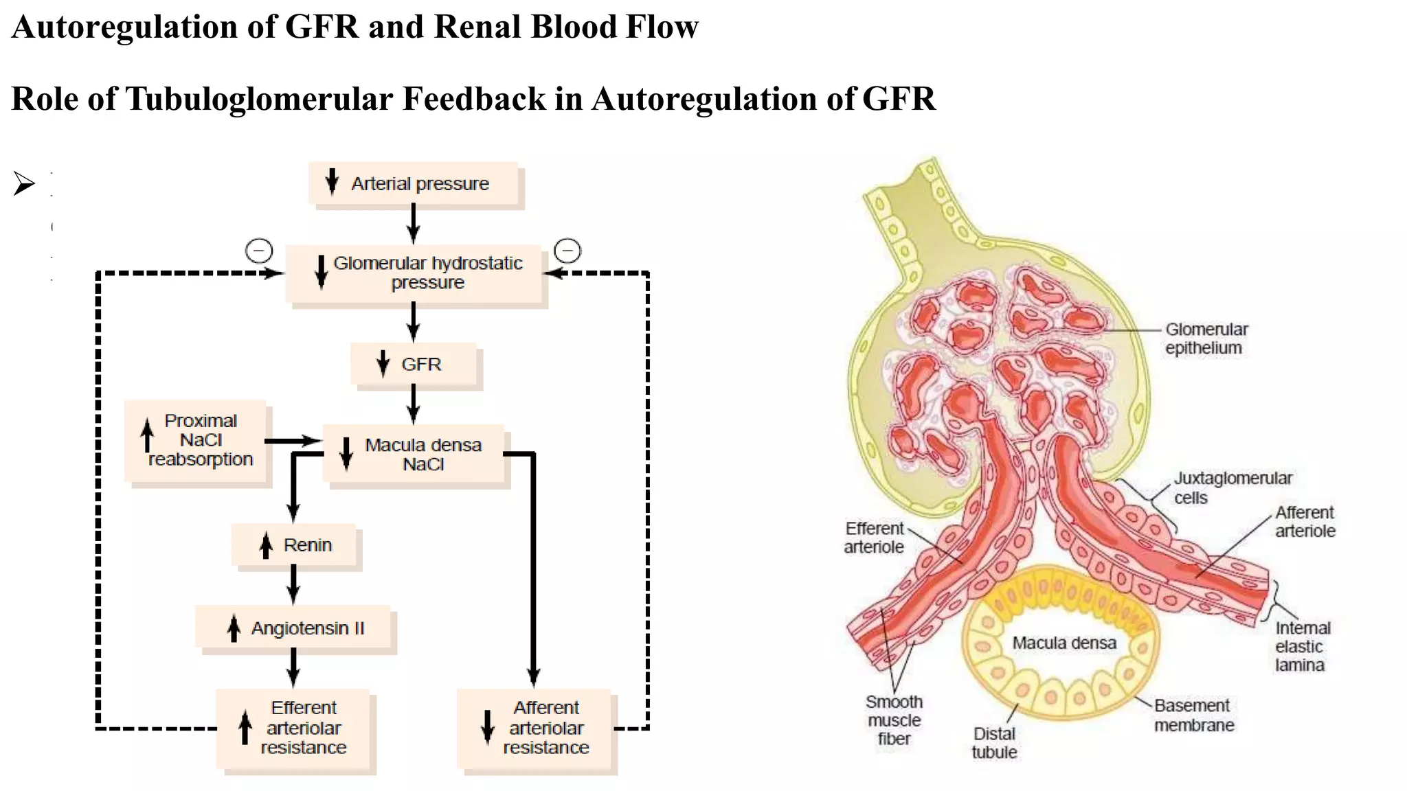 lec 1 RS-ppt (1).pptx
