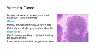 salivary gland and esophagus | PPT