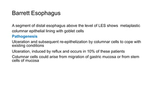 salivary gland and esophagus | PPT