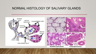 salivary gland and esophagus | PPTX
