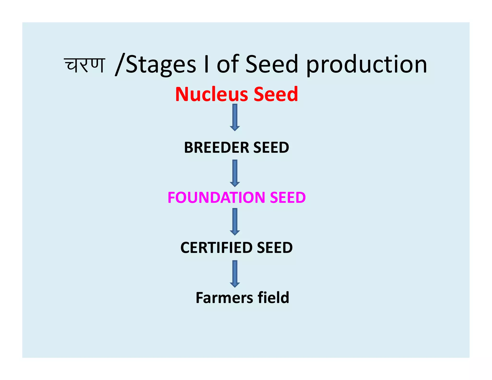 Seed and seed technology | PDF