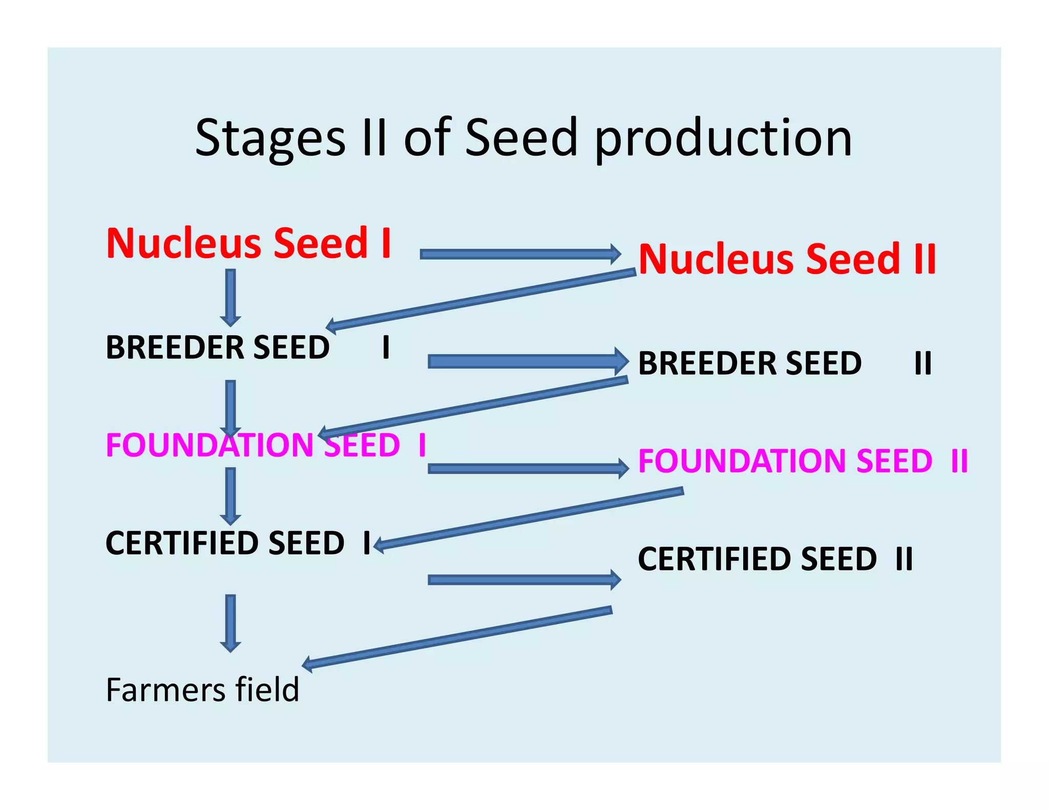 Seed and seed technology | PDF