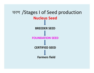 Seed and seed technology | PDF | Agriculture | Industries