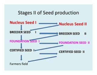 Seed and seed technology | PDF | Agriculture | Industries