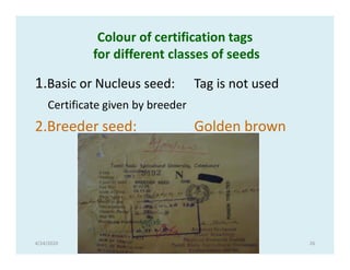 Seed and seed technology | PDF | Agriculture | Industries