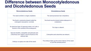 lec1 seed development.pptx | Infertility | Reproductive Health