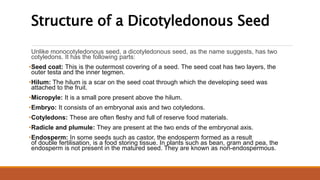 lec1 seed development.pptx