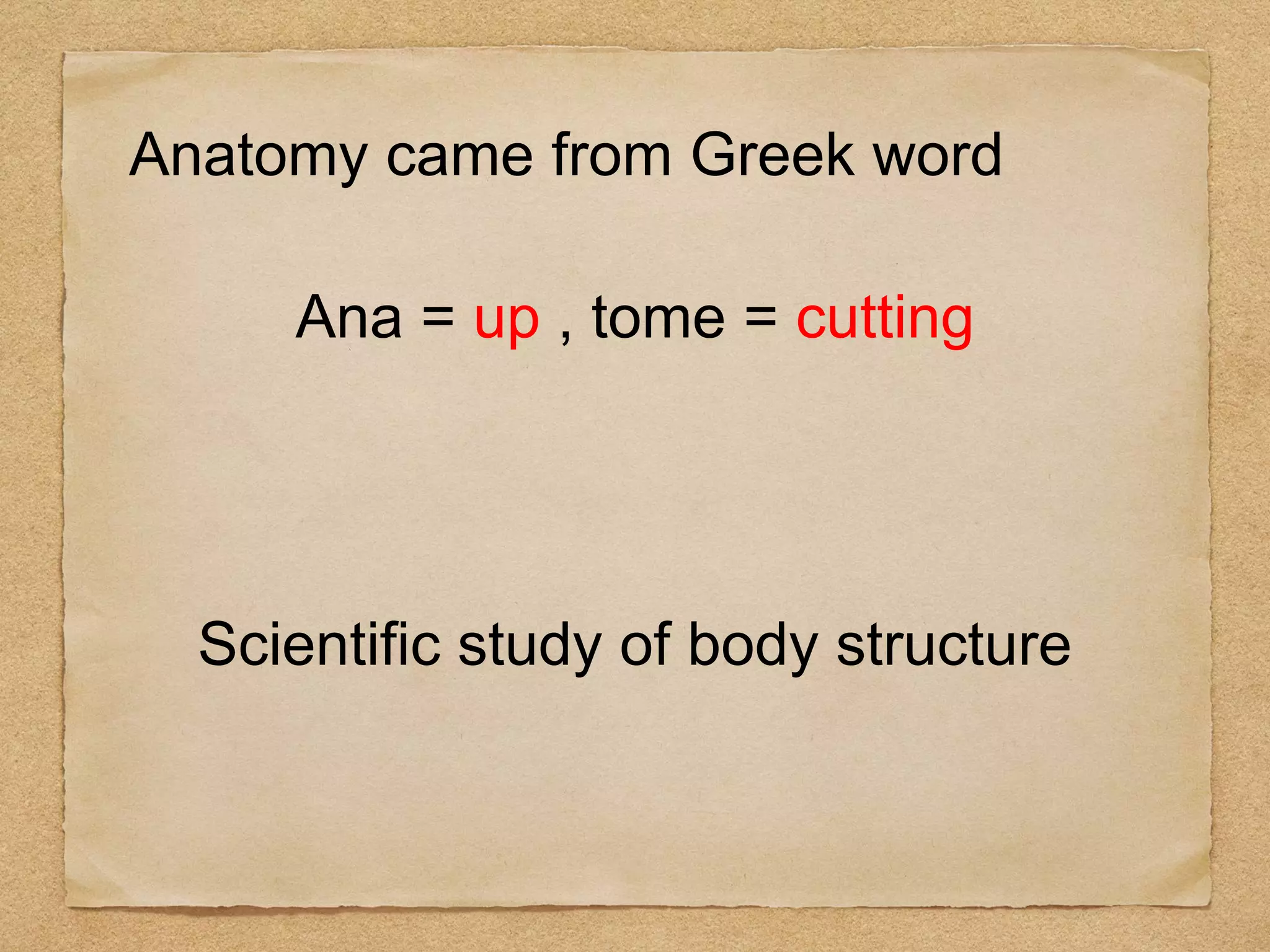 Lecture 1 skull chapter (1) | PPTX