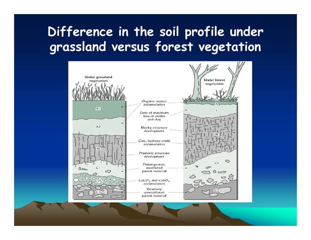 Lec 1 Soil Gen_Comp and Devpt handouts.pdf