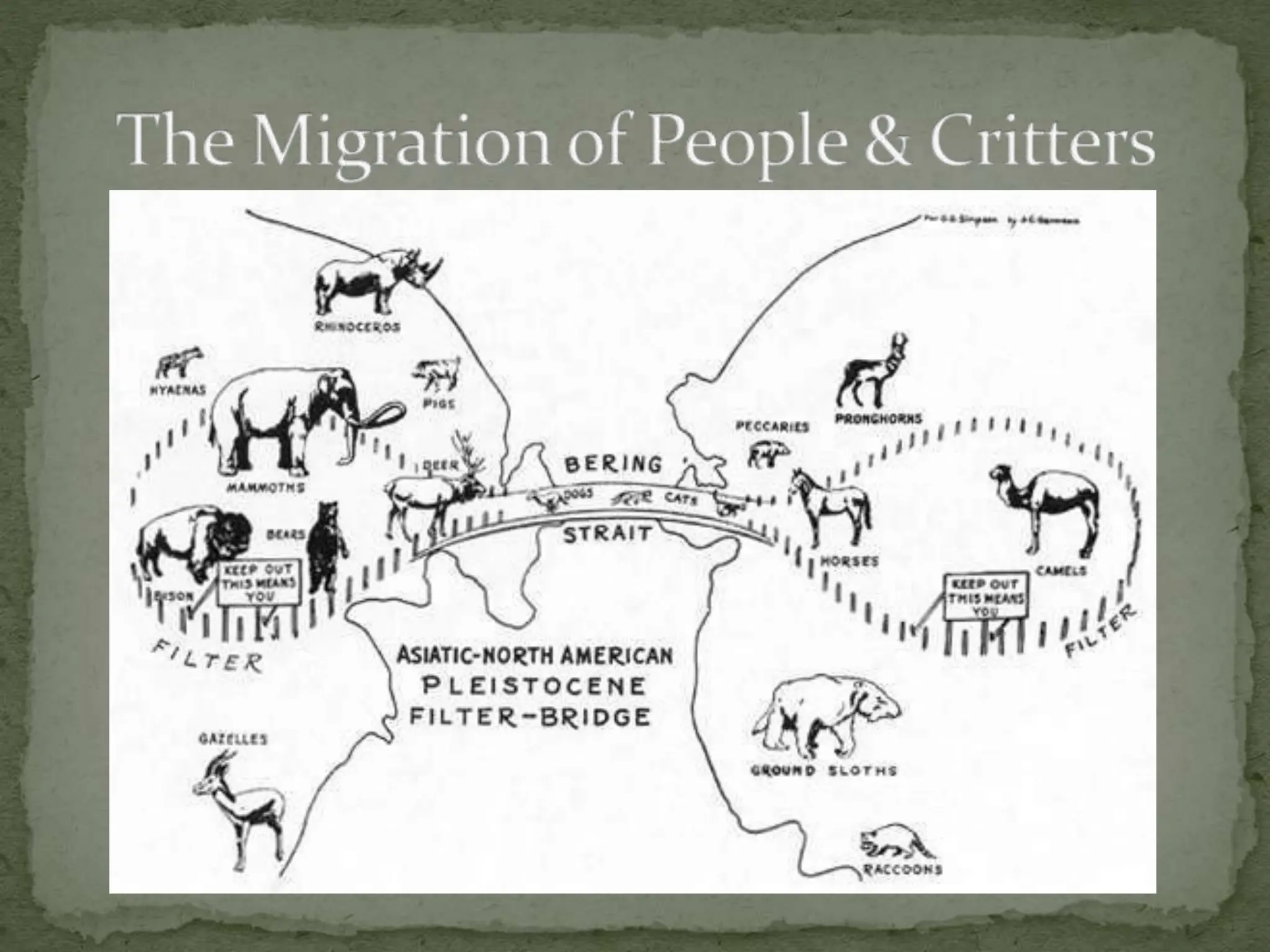 the old stone age, paleolithic and mesolithic.pptx