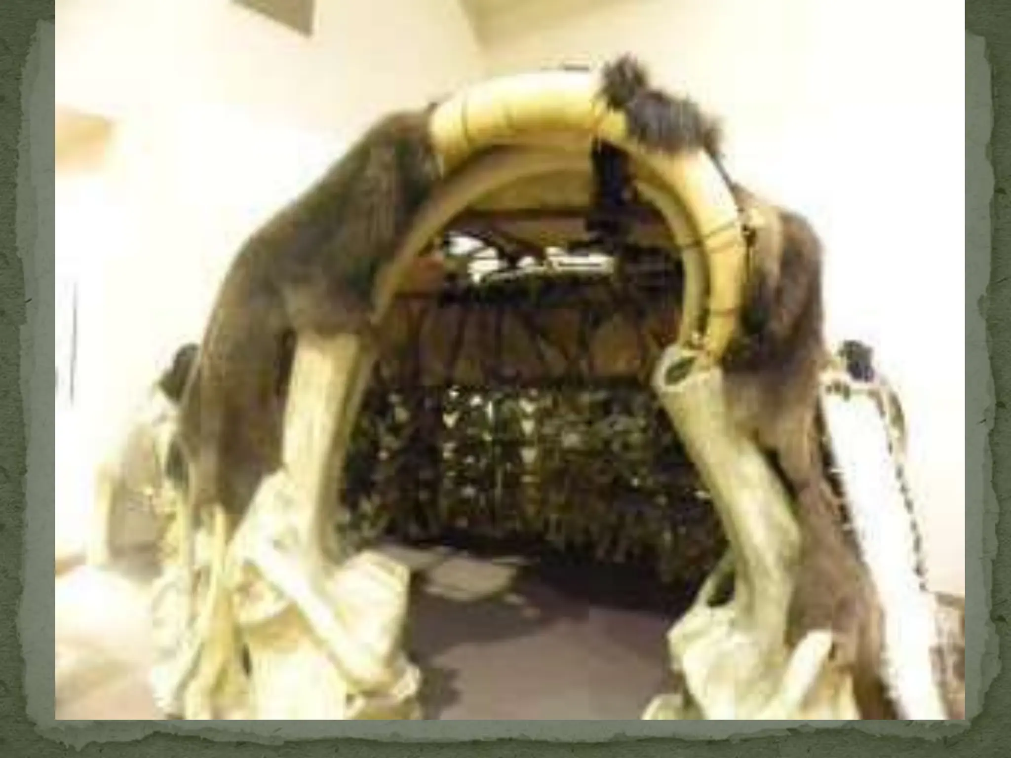 the old stone age, paleolithic and mesolithic.pptx