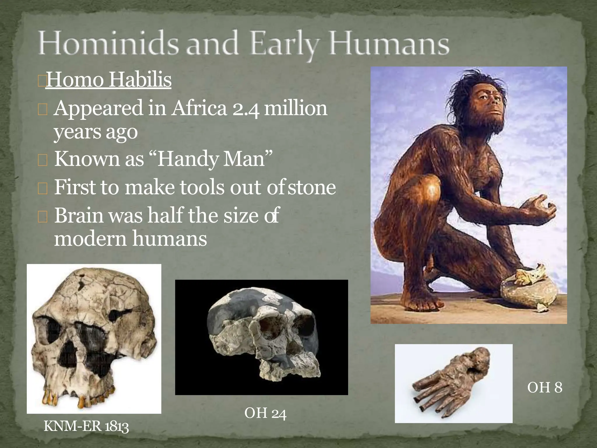the old stone age, paleolithic and mesolithic.pptx