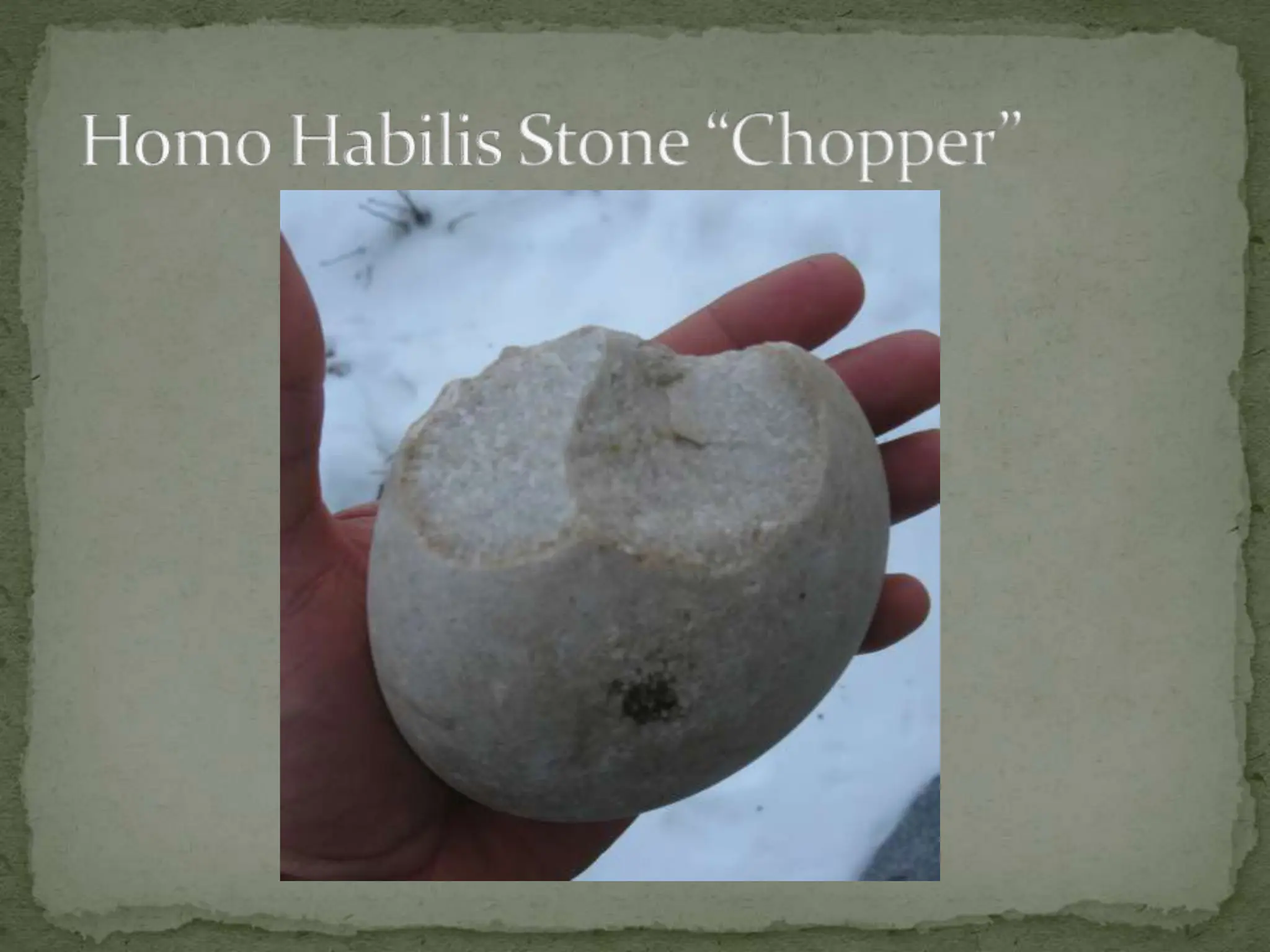 the old stone age, paleolithic and mesolithic.pptx