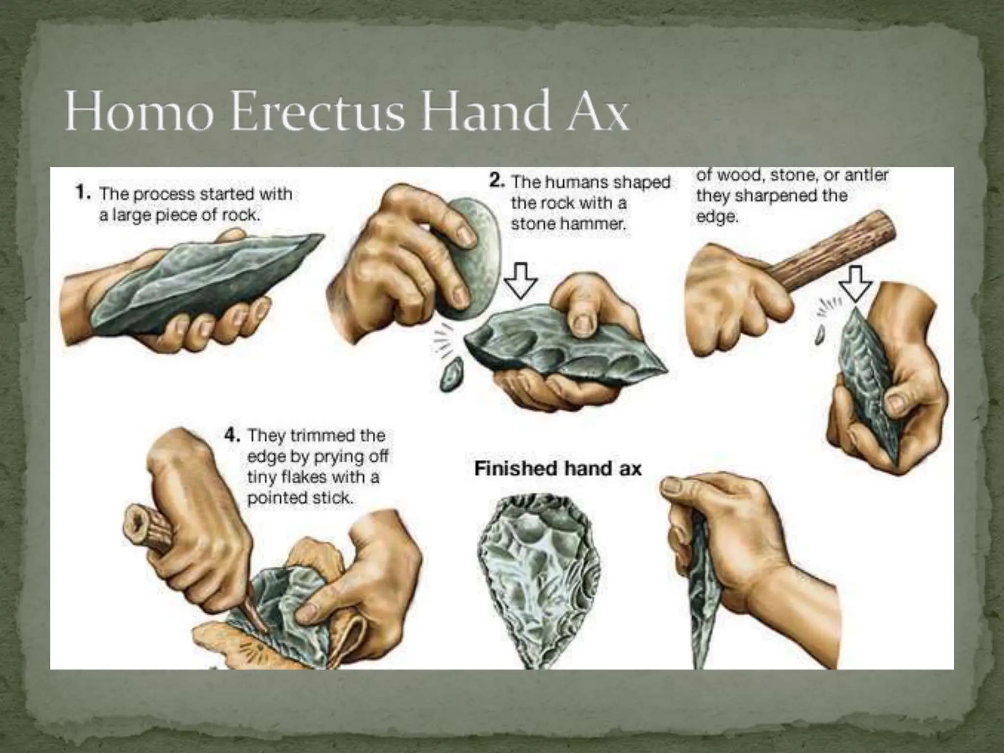 the old stone age, paleolithic and mesolithic.pptx