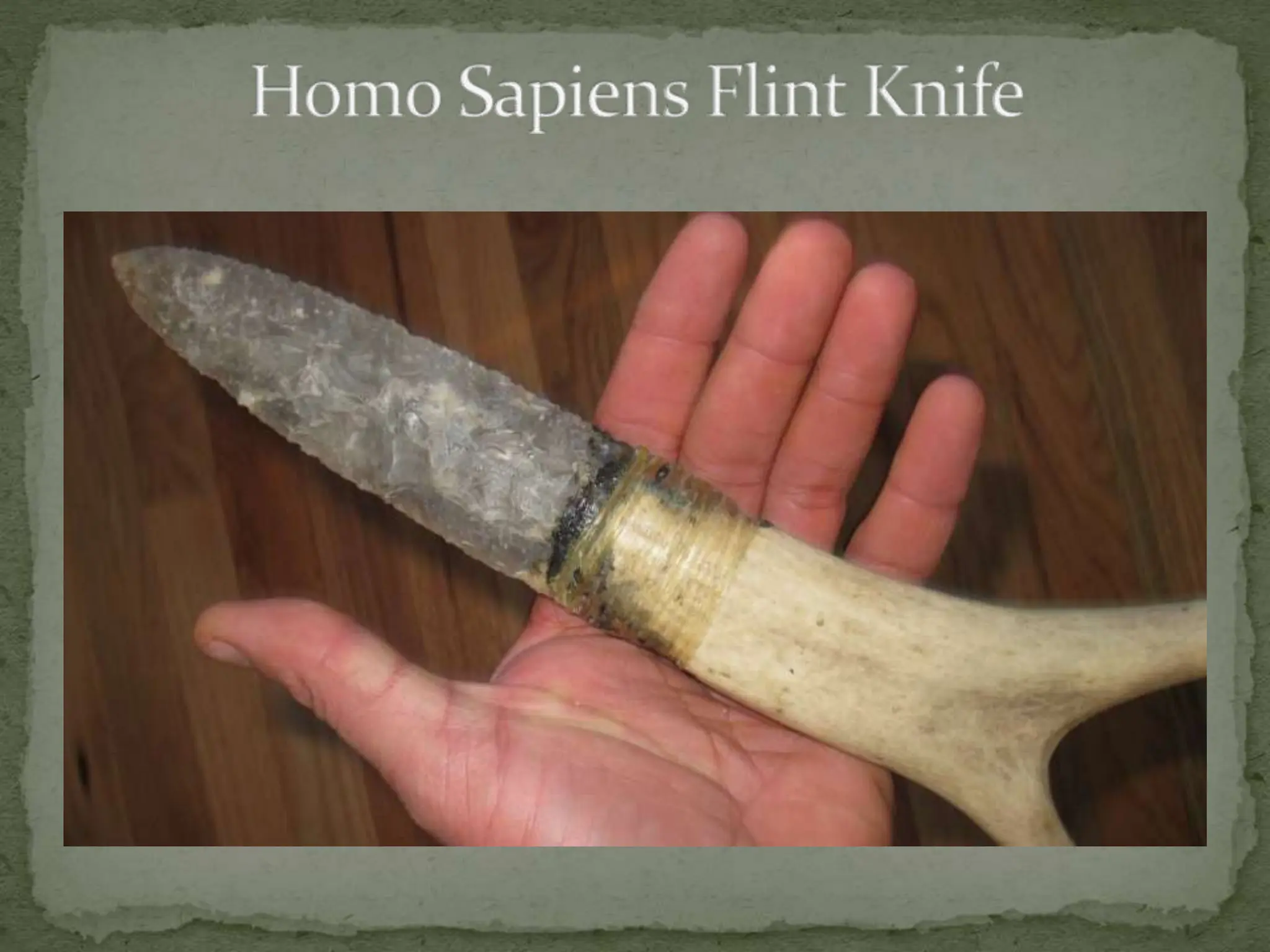 the old stone age, paleolithic and mesolithic.pptx