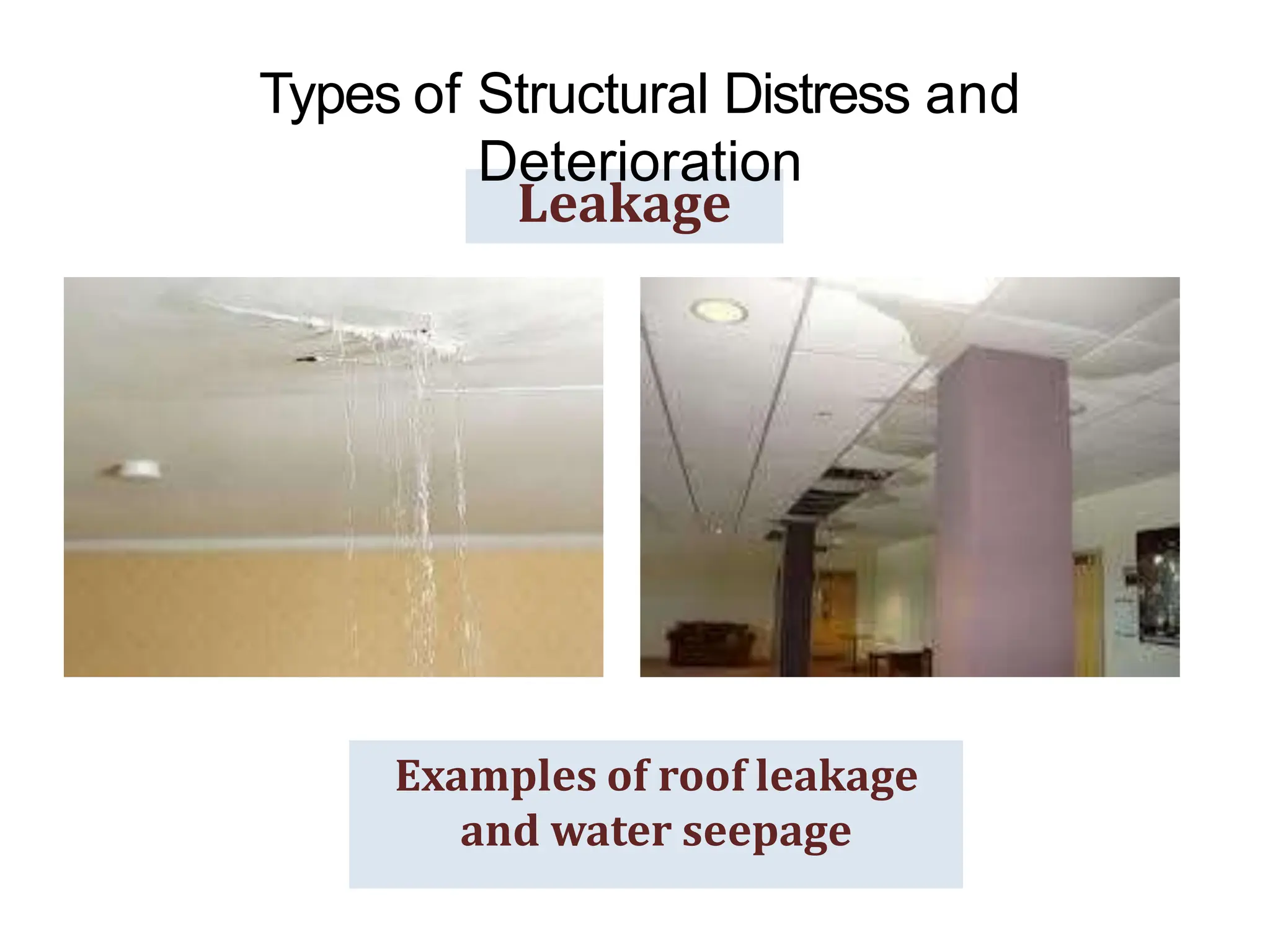 lec 1 Unit 1 damages.ppt