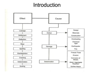 lec 1 Unit 1 damages.ppt