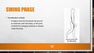 Lec 1 walking gait | PPTX