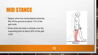 Lec 1 walking gait | PPTX