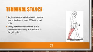 Lec 1 walking gait | PPTX