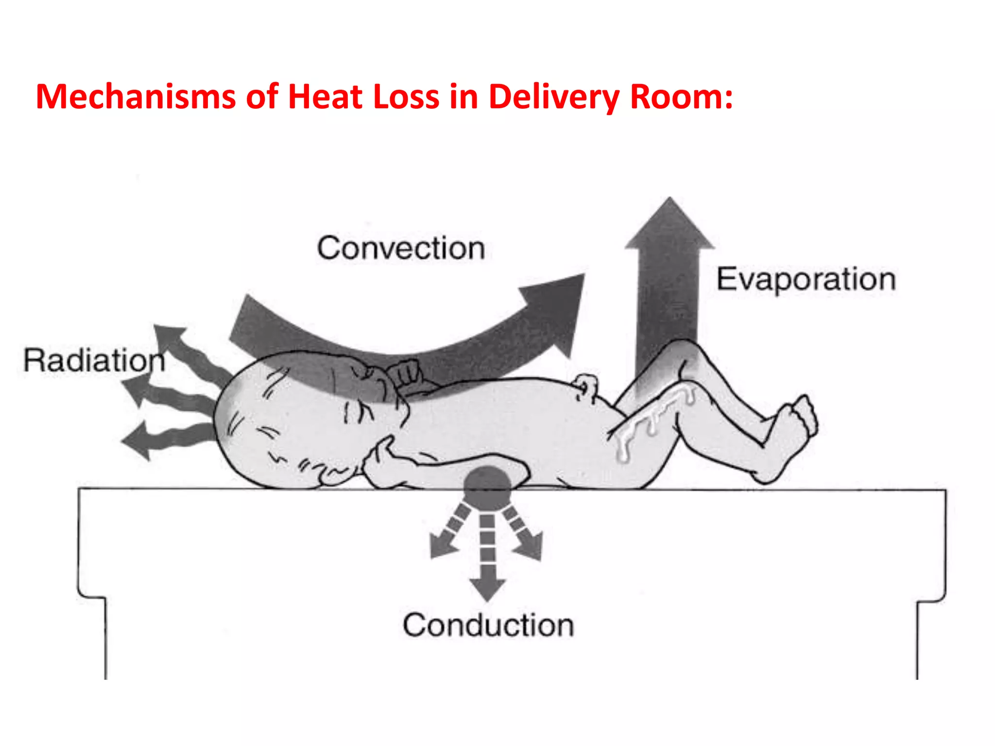Nursing care of ELBW and LBW babies | PPTX