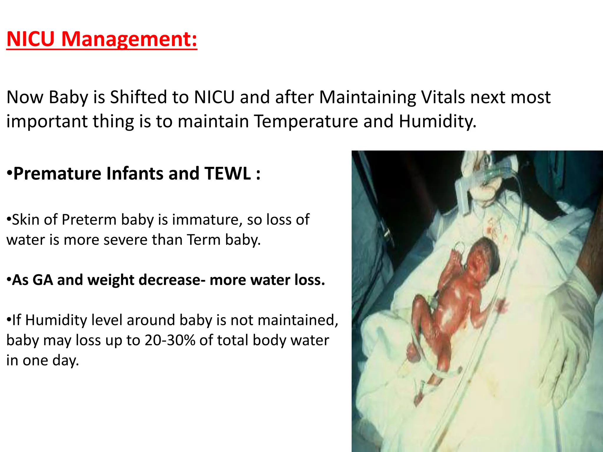 Nursing care of ELBW and LBW babies | PPTX