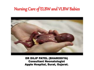 Nursing care of ELBW and LBW babies | PPTX