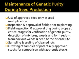 Principles of Seed Production | PPTX