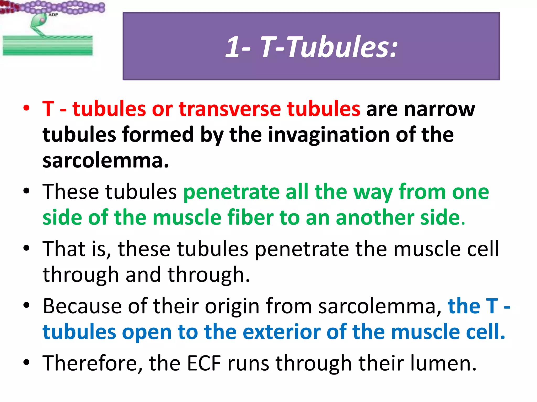lec2-180702011128 (1).pdf
