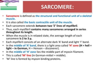 lec2-180702011128 (1).pdf
