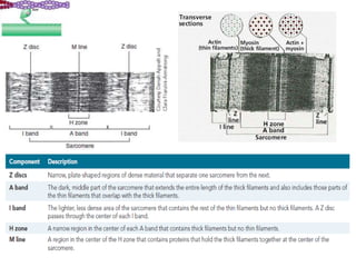 lec2-180702011128 (1).pdf