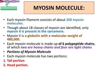lec2-180702011128 (1).pdf
